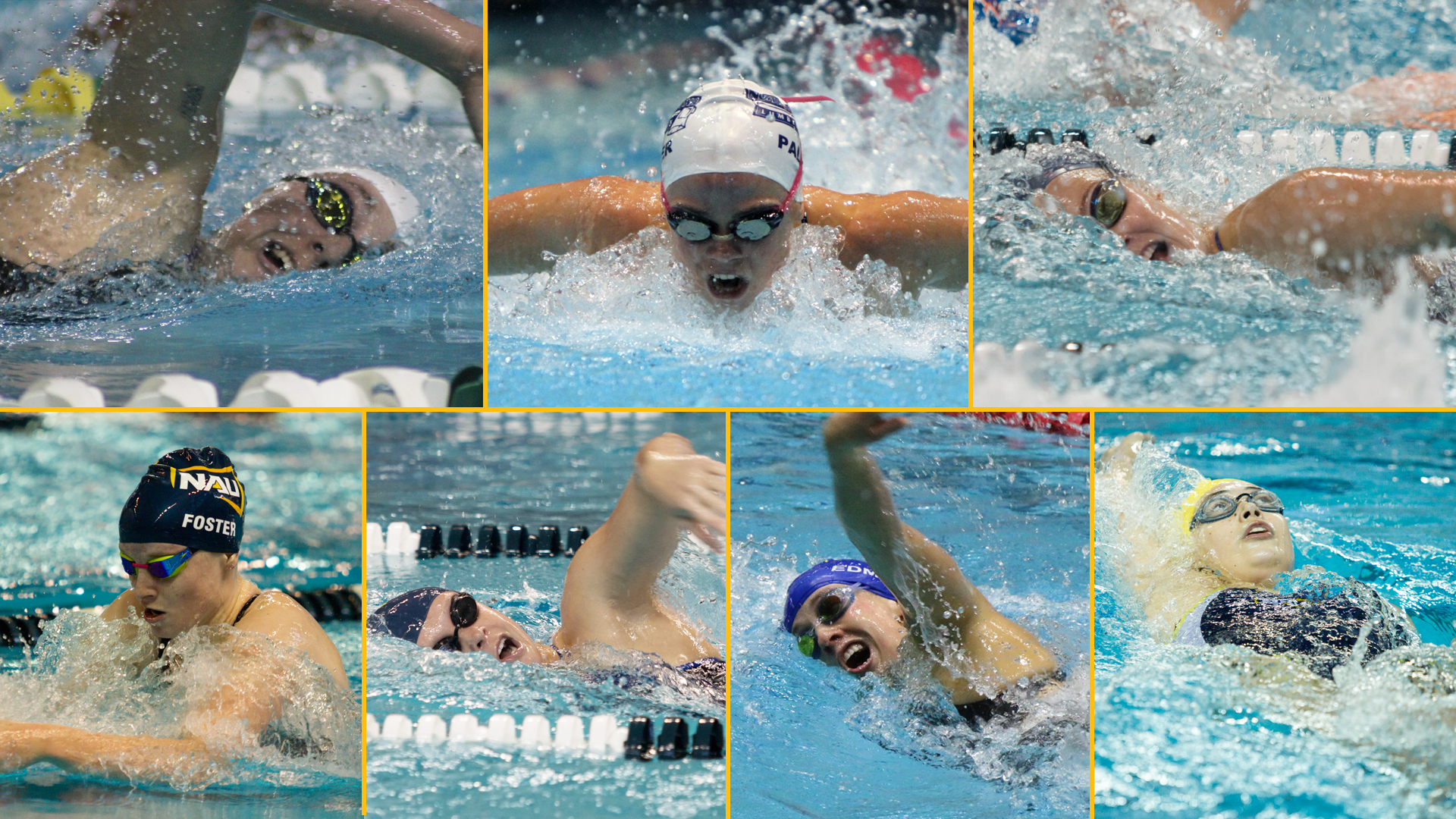 The Kiwi Express: NAU Swimming’s Decade-Long New Zealand Pipeline ...