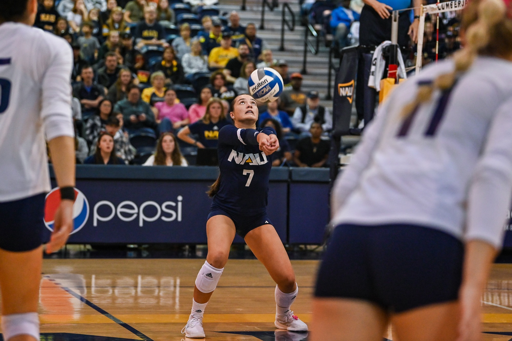 Volleyball Returns to Rolle to Welcome Montana State and Montana ...