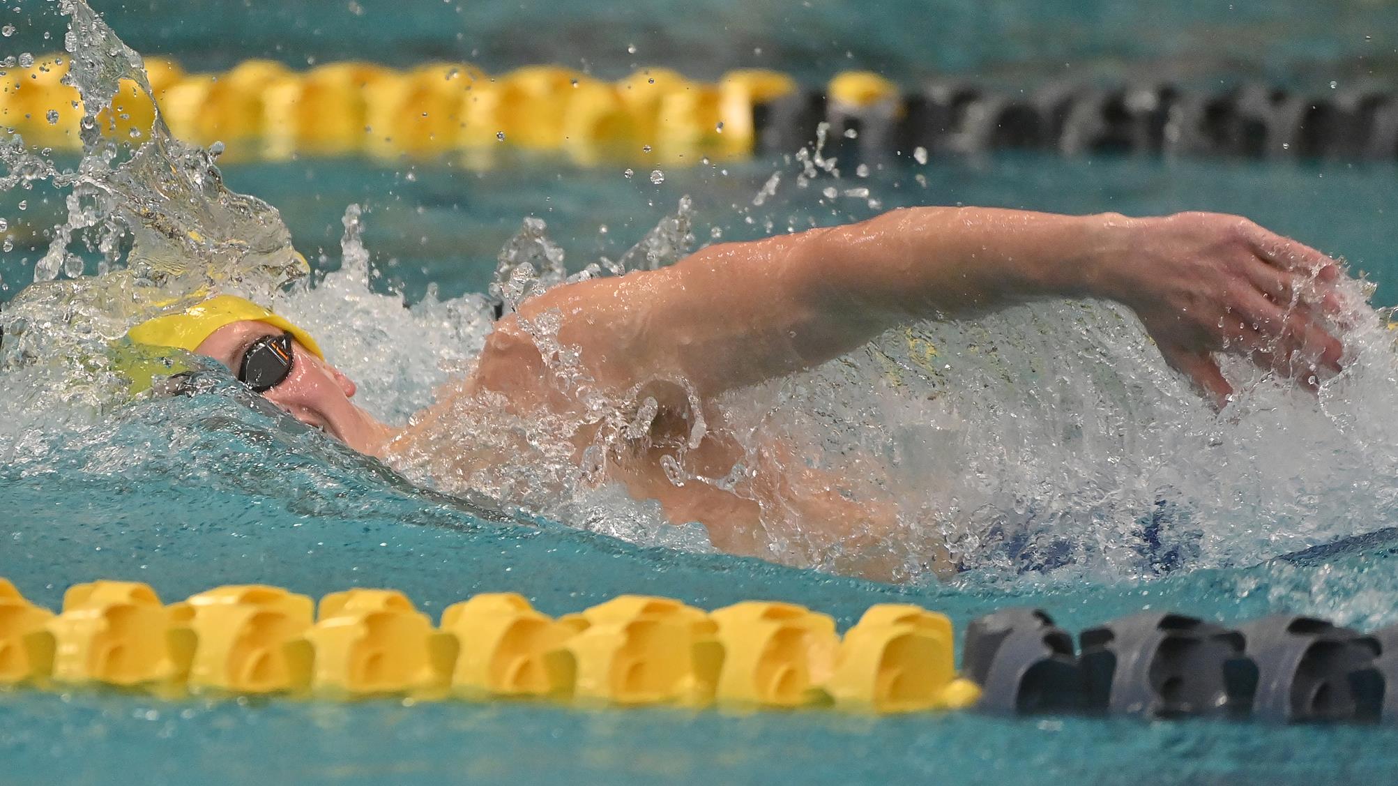 Navy to Play Host to ECAC Swimming & Diving Championship - Naval ...