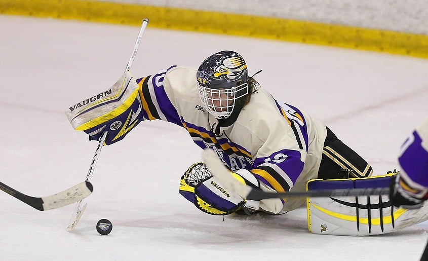 Ed Zdolshek - 2015-16 - Men's Ice Hockey - Nazareth University Athletics