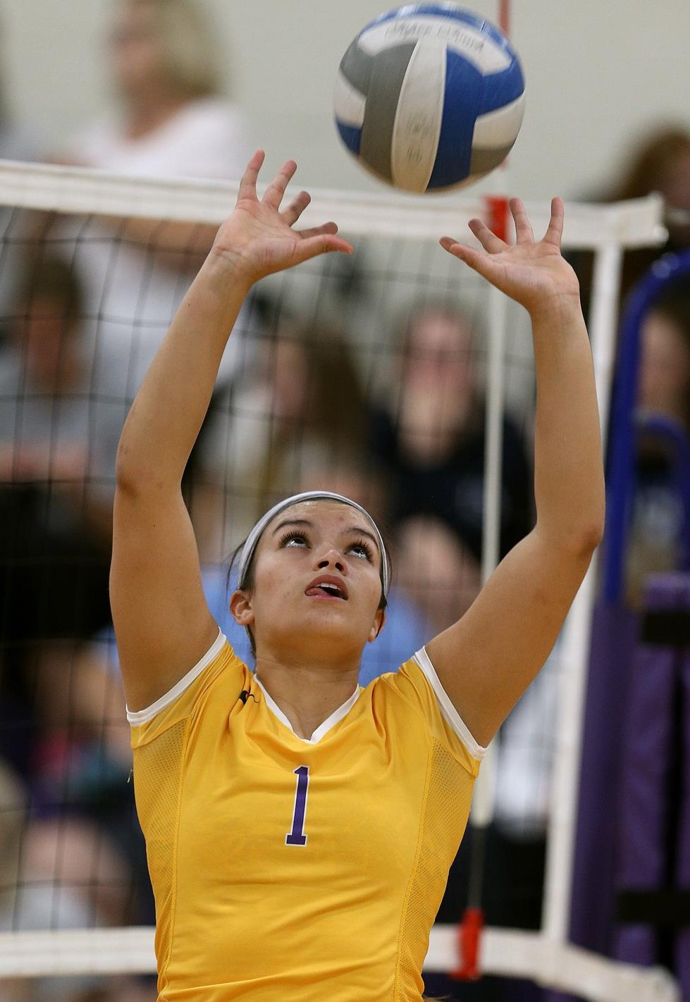 Celia Cordero - 2018 - Women's Volleyball - Nazareth University Athletics