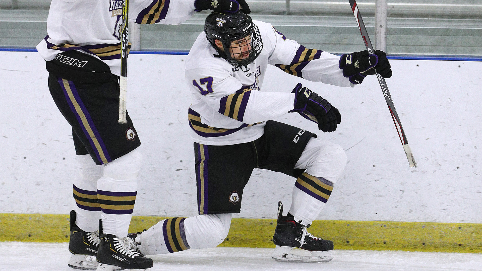 Zander Pryor - 2019-20 - Men's Ice Hockey - Nazareth University Athletics