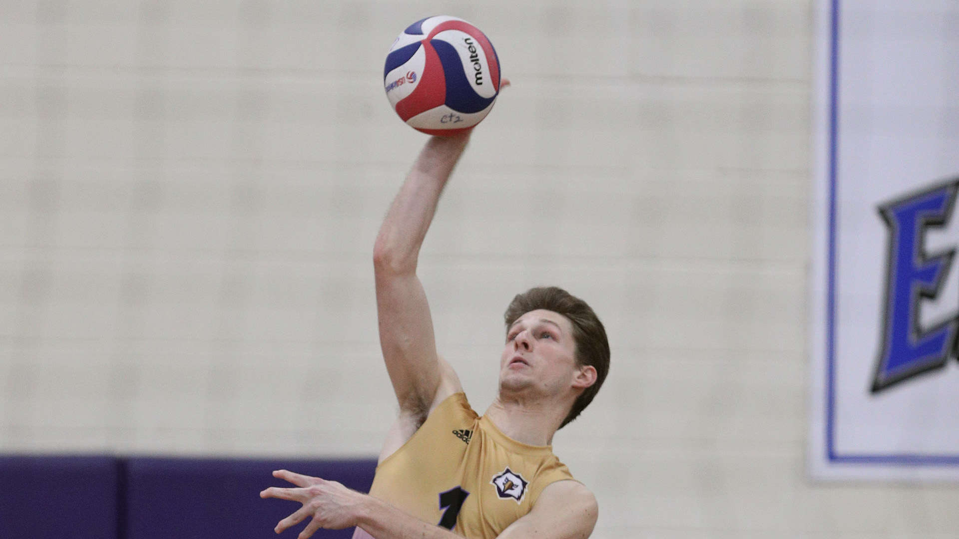 Dan Shorney - 2020 - Men's Volleyball - Nazareth University Athletics