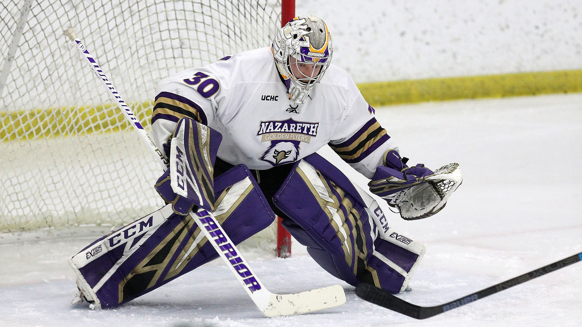 Michael Tilford - 2019-20 - Men's Ice Hockey - Nazareth University ...