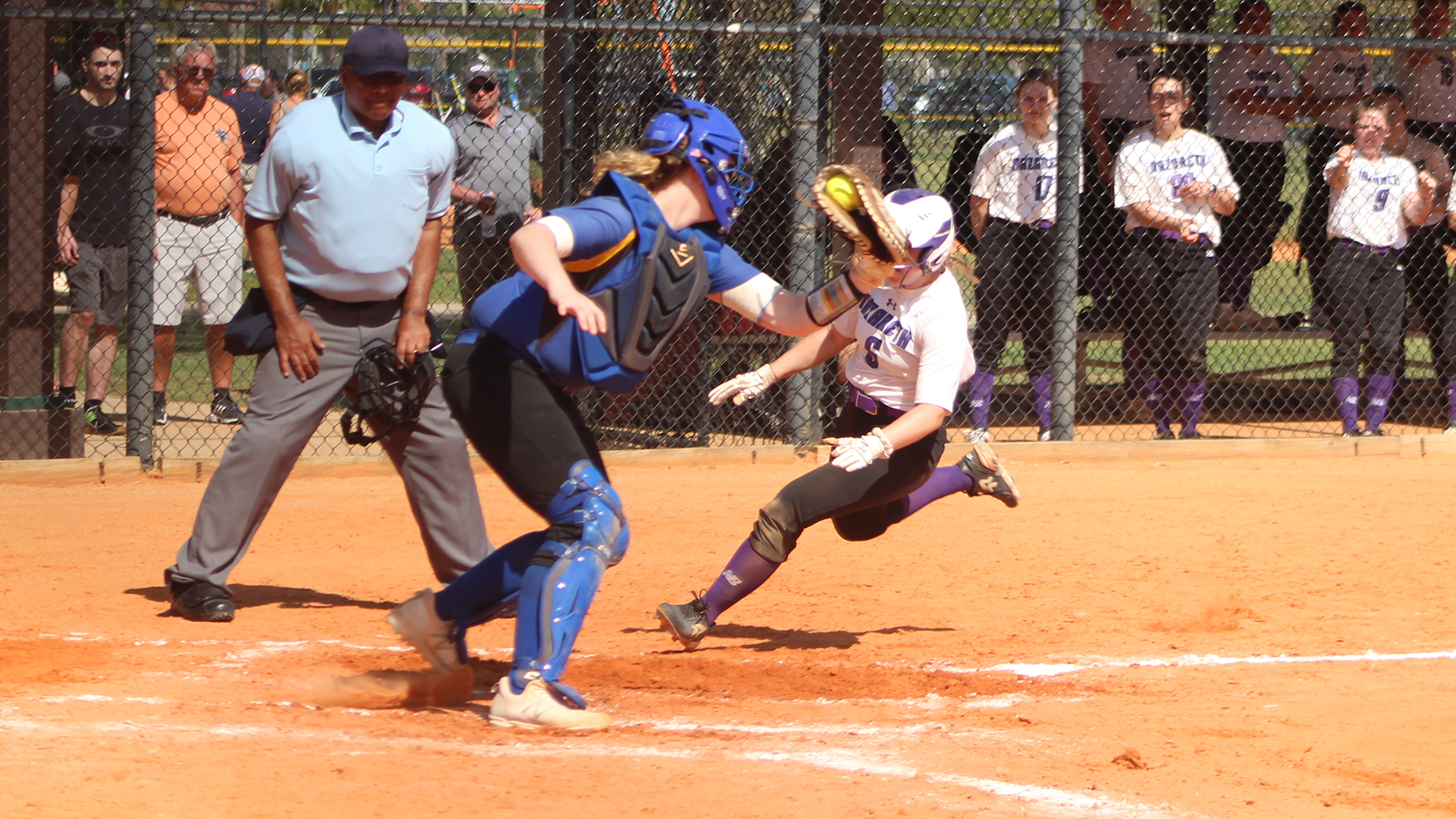 Janelle Walters - 2021 - Softball - Nazareth University Athletics