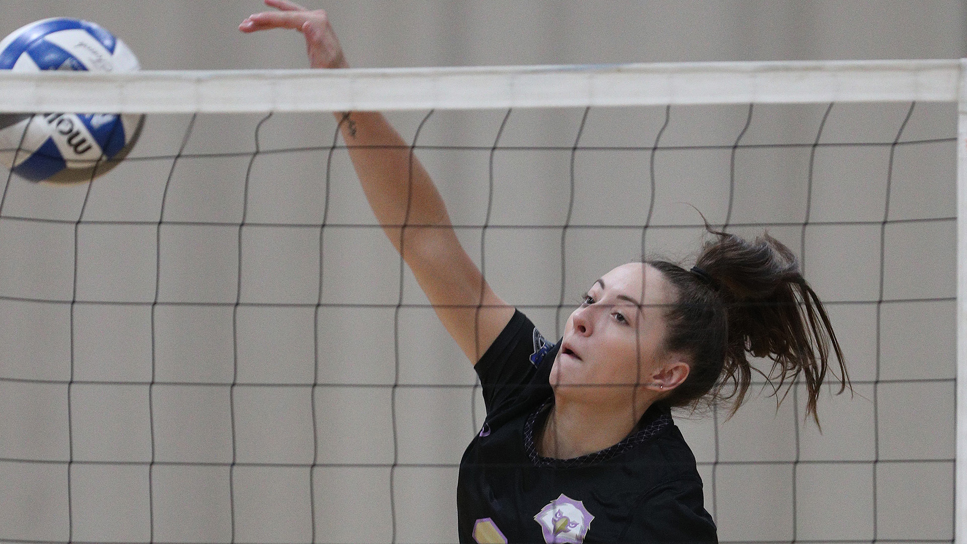 Women's Volleyball Falls in Five to WPI - Nazareth University Athletics