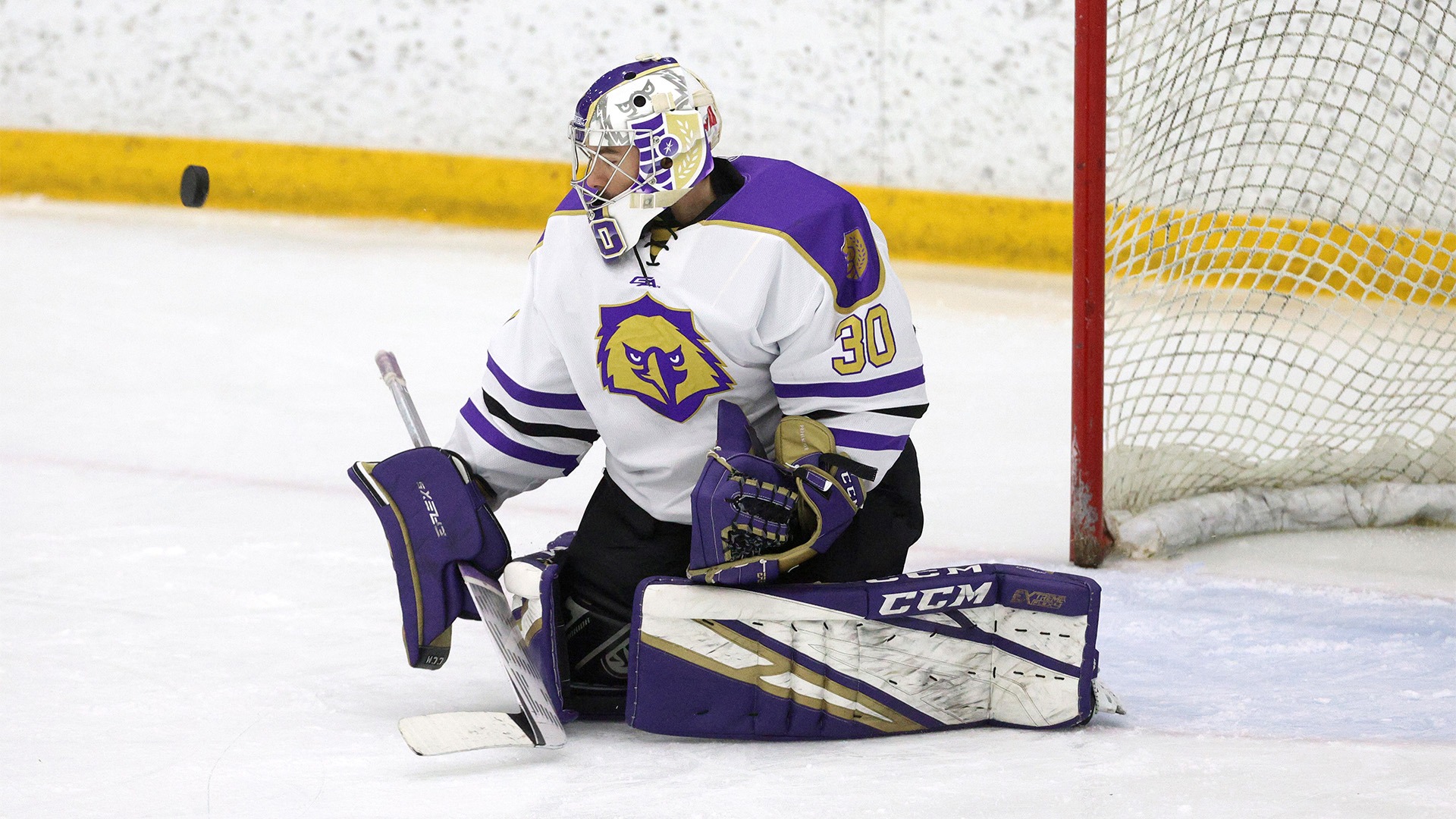 Raphael Provencher - 2023-24 - Men's Ice Hockey - Nazareth University ...