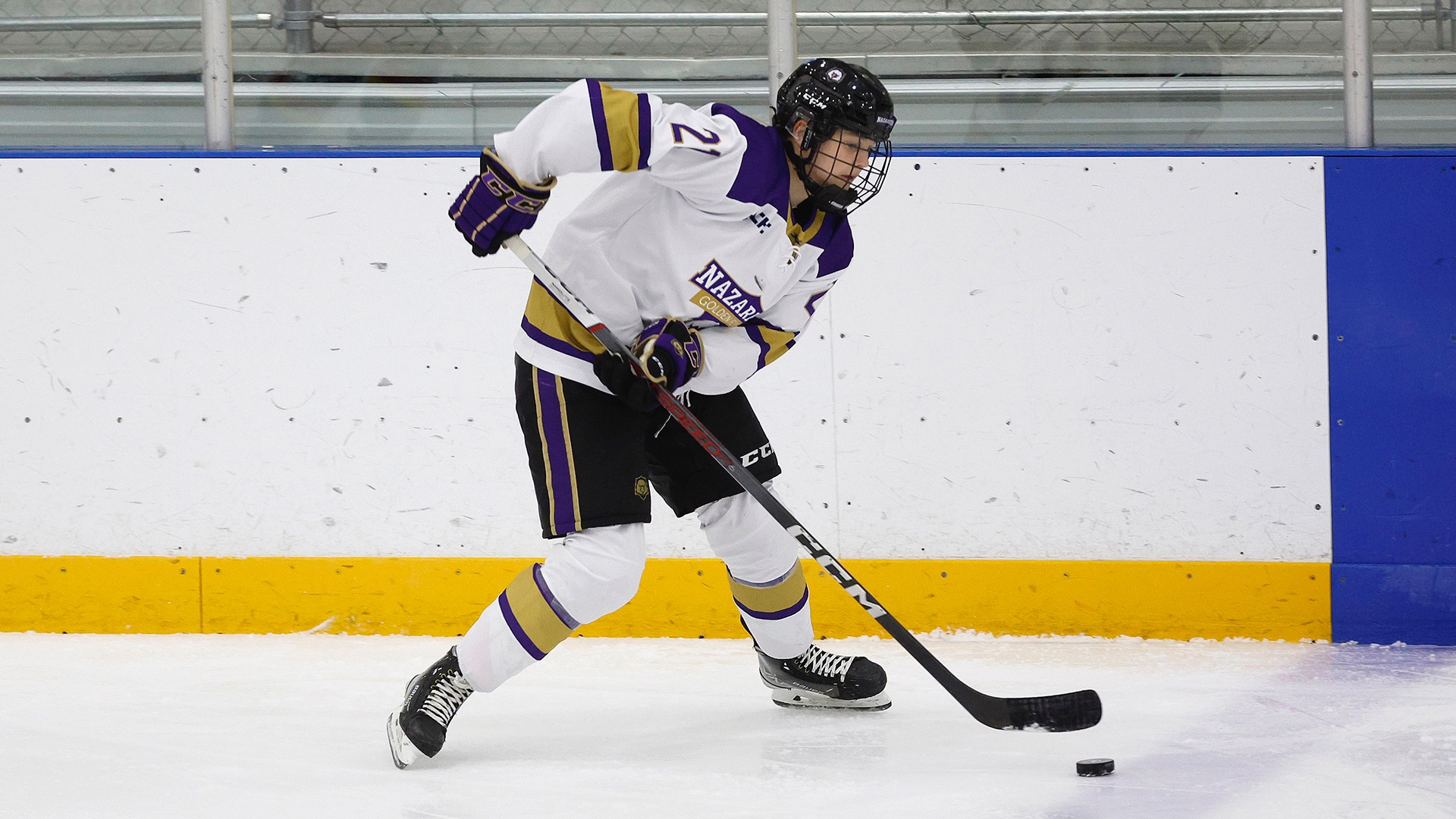 Holstad Scores Late As Women's Hockey Prevails Over Chatham In Shootout ...