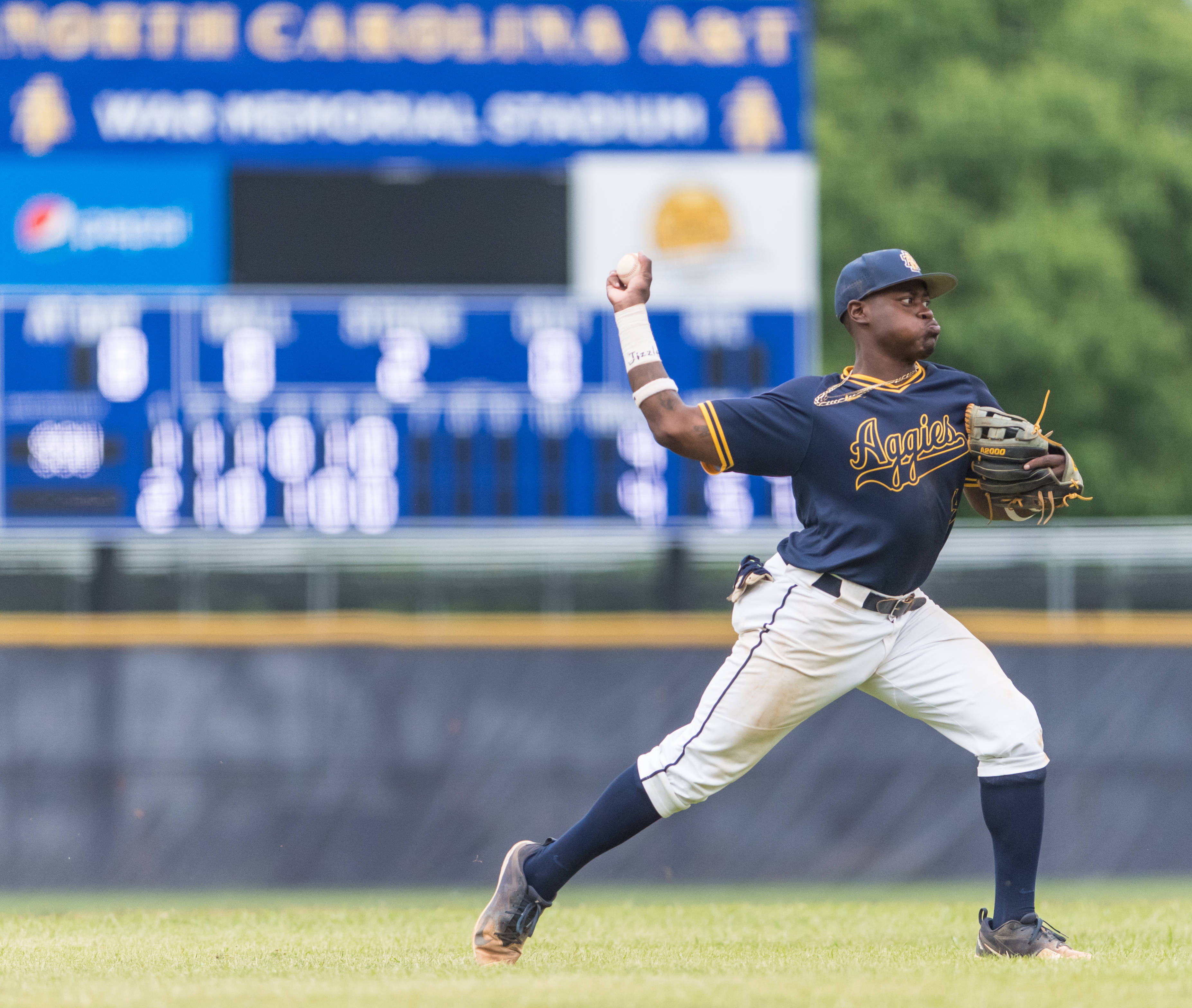Baseball Splits Doubleheader With Savannah State - North Carolina A&T