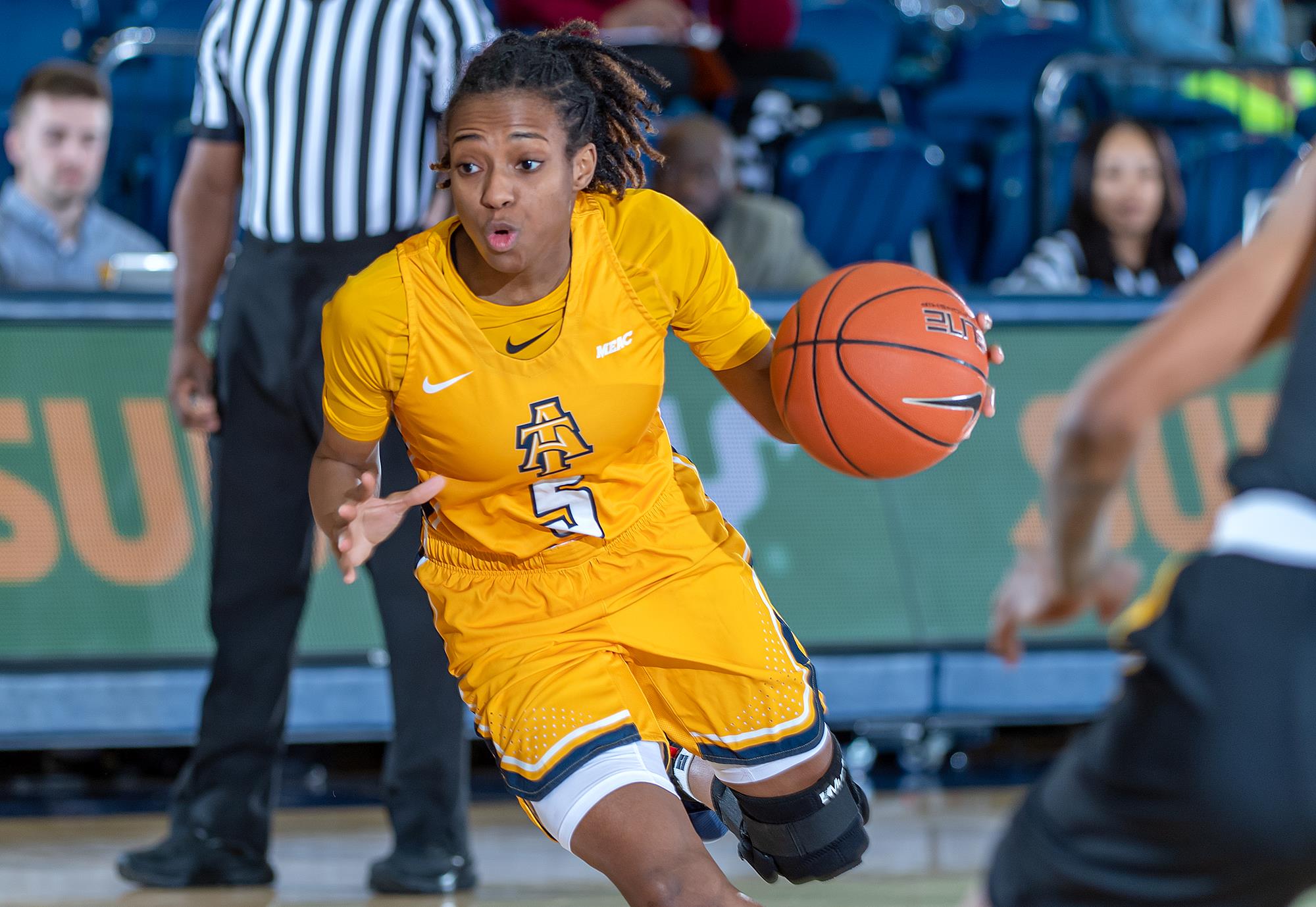Mikaya Wilson - 2019-20 - Women's Basketball - North Carolina A&T