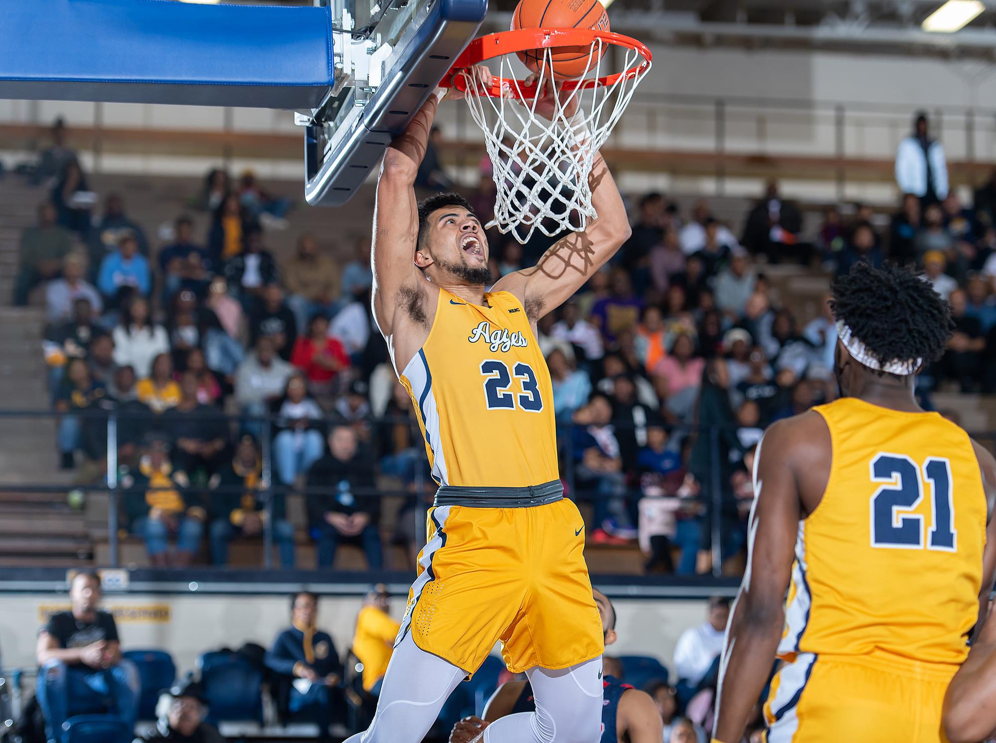 Devin Haygood - 2019-20 - Men's Basketball - North Carolina A&T