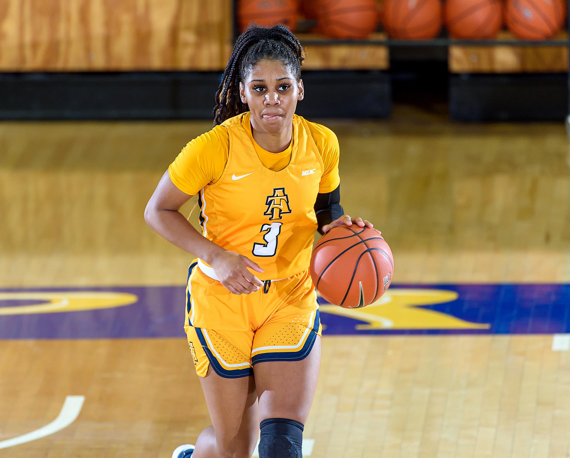 Sean Kelly Darks - 2023-24 - Women's Basketball - North Carolina A&T