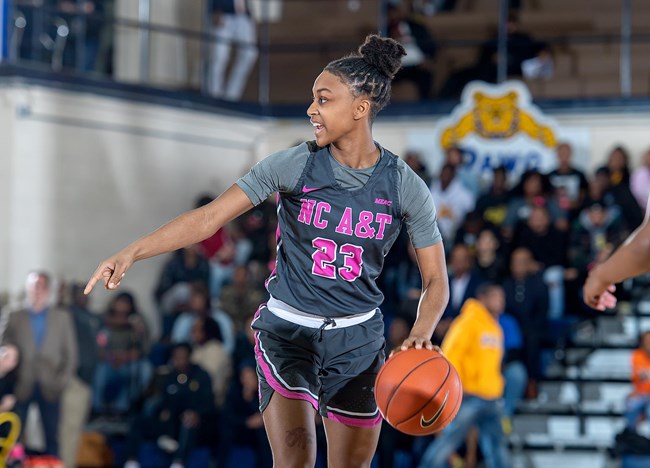 Taya Jones - 2019-20 - Women's Basketball - North Carolina A&T