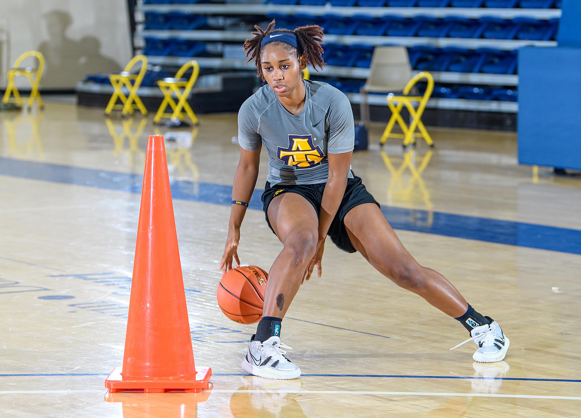 Successful A&T Women's Basketball Program Enters New League - North ...