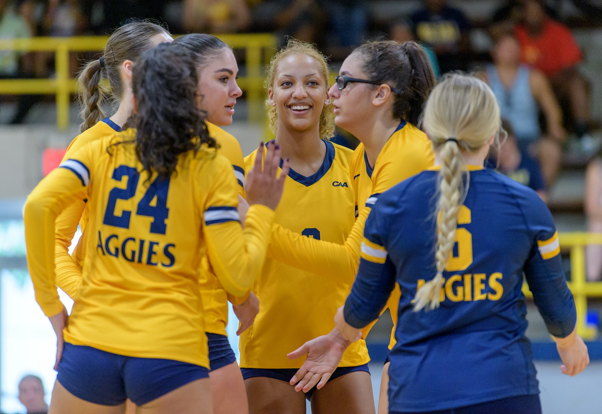 A&TFalls to Undefeated Towson - North Carolina A&T