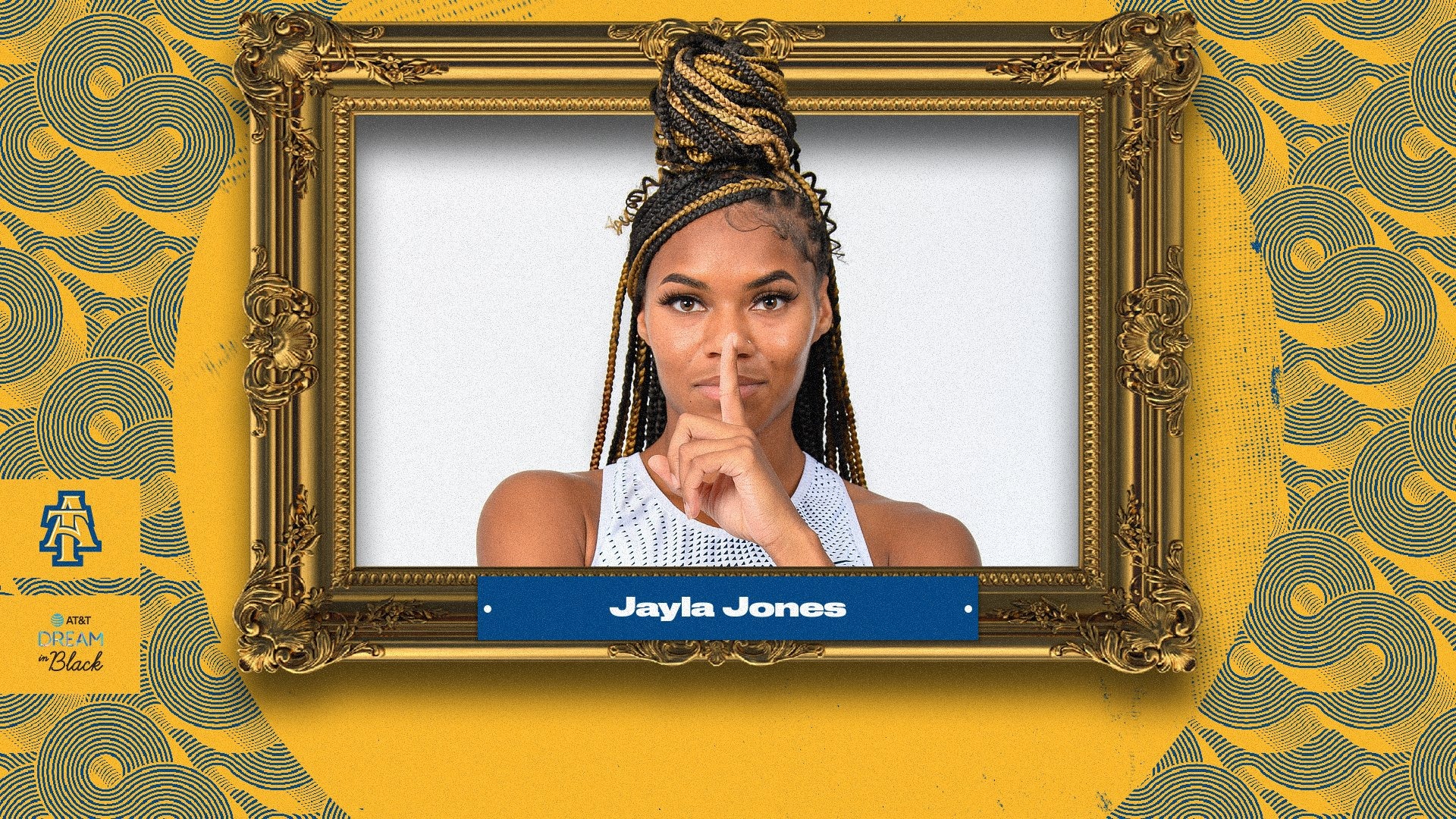 The Student-Athlete Perspective - North Carolina A&T