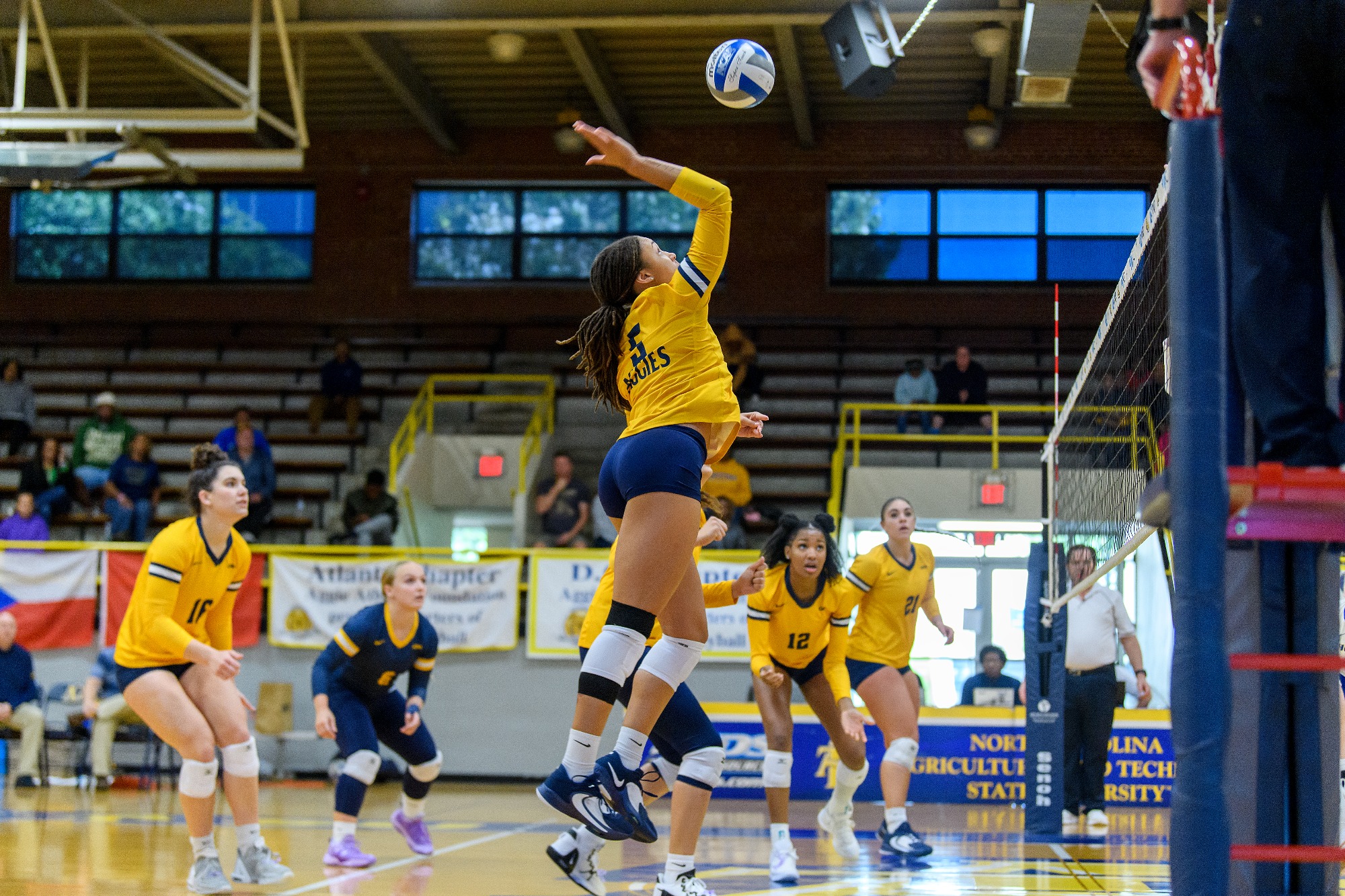 Doctor, Sawtelle Lead Fifth-Set Comeback as A&T Defeats Hofstra - North ...