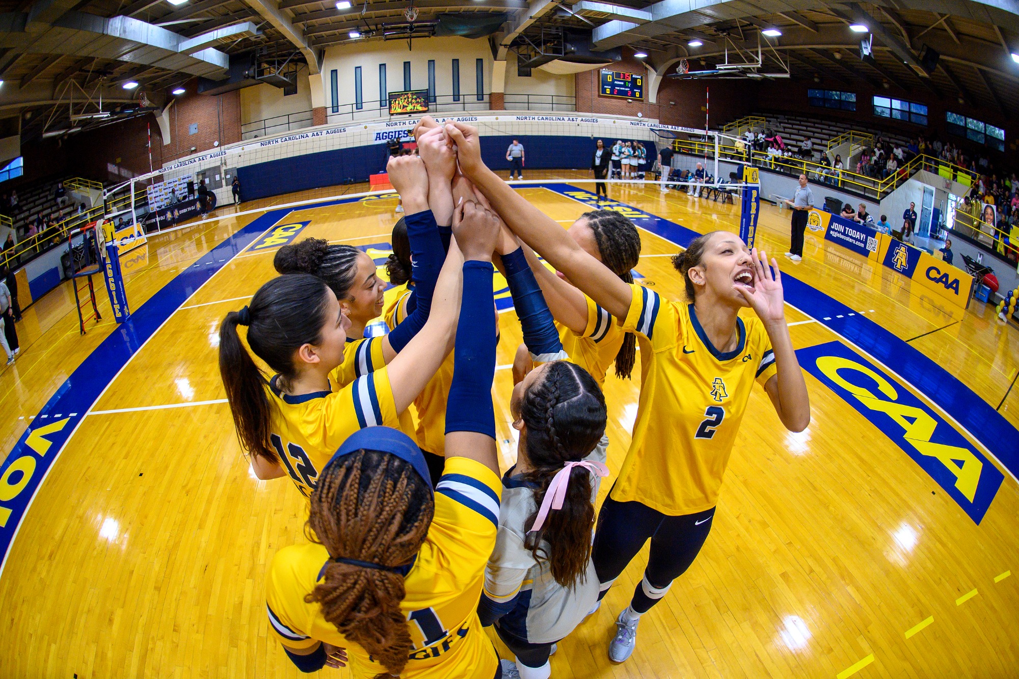 Clifton Earns Coach of the Year, CAA Names Ross Its Top Rookie - North ...