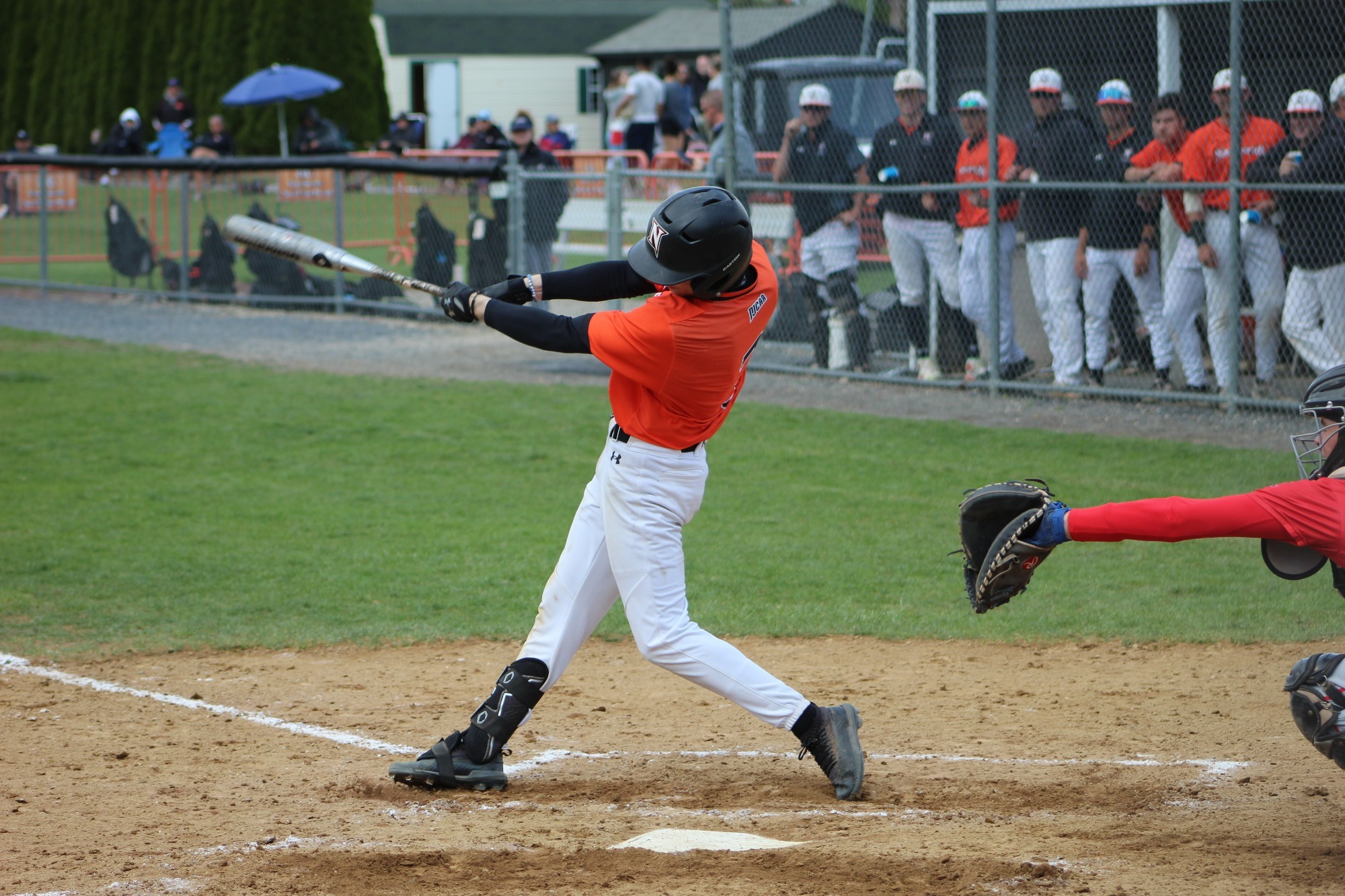 Shane Fillman - 2023 - Baseball - Northampton Community College Athletics