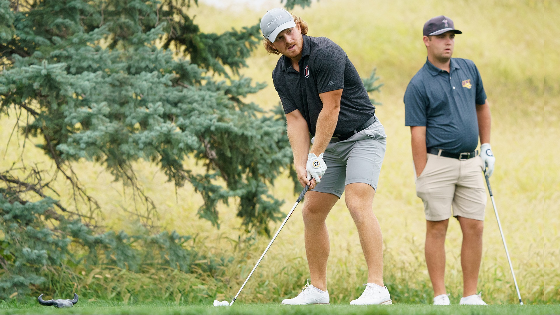 Connor Wilson - Men's Golf - University of Nebraska Omaha Athletics