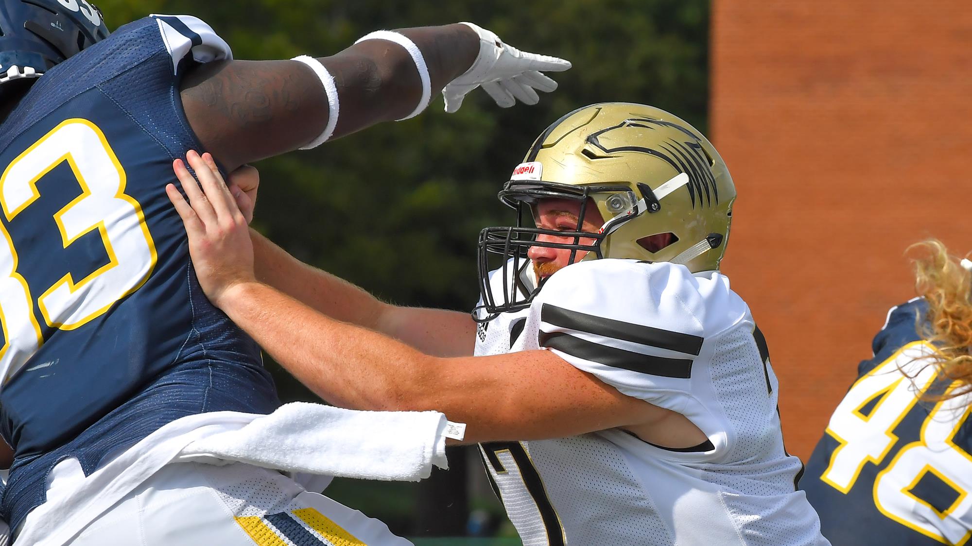 Jacob Walsh - 2020 - Football - Nebraska Wesleyan University Athletics