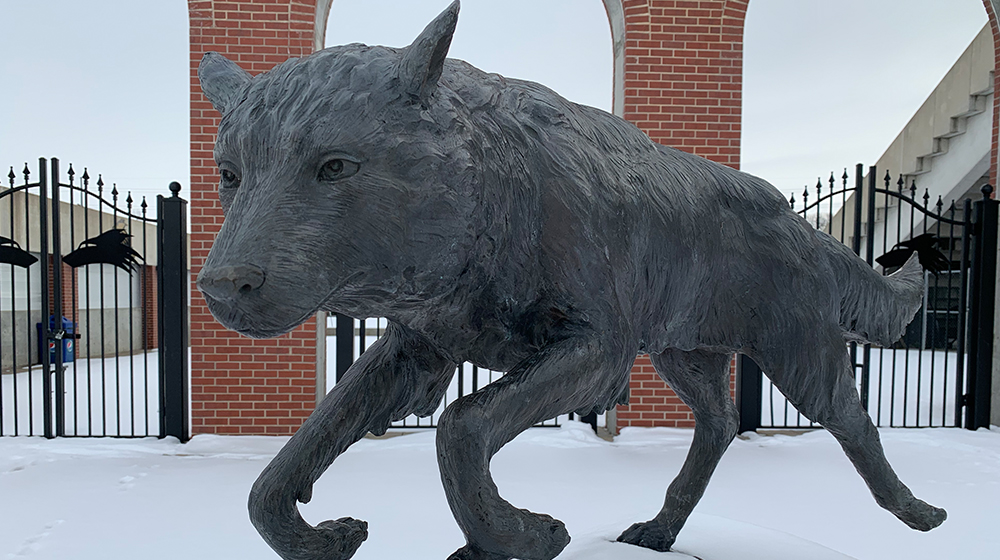Prairie Wolves Place Eight Student-Athletes on 2020-2021 A-R-C Winter ...
