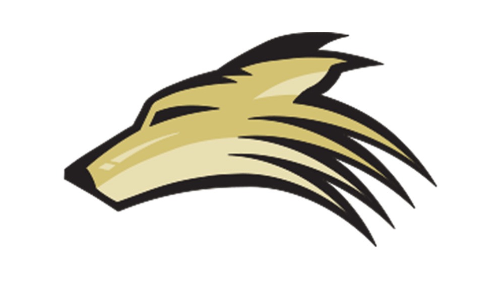 NWU Announces 2020-2021 Senior Student-Athletes of the Year Awards ...