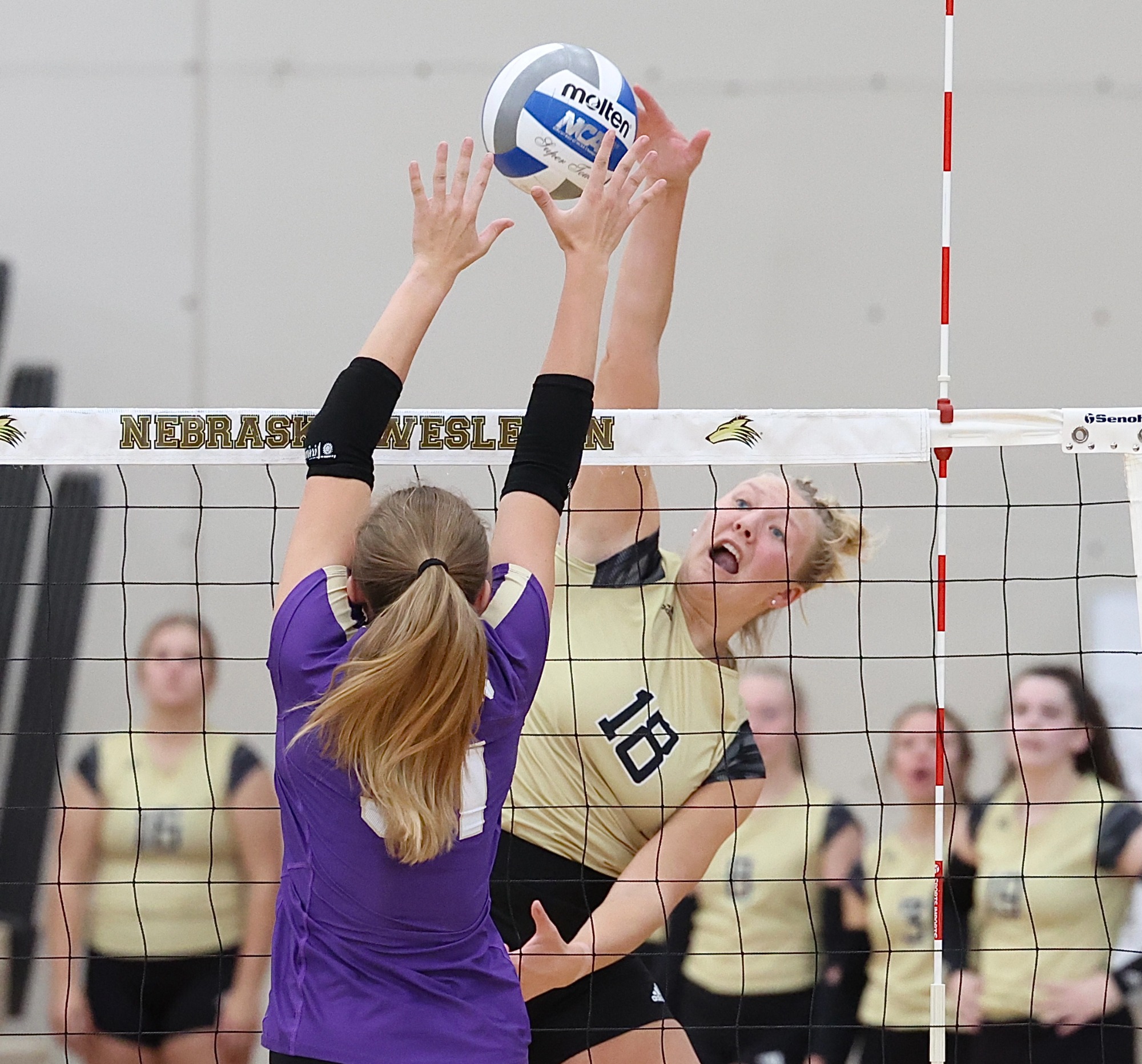 Addie Thomas - 2024 - Women's Volleyball - Nebraska Wesleyan University ...