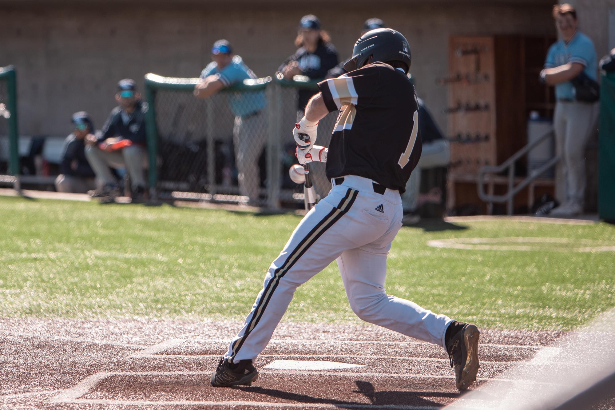 Paul Georget - 2022 - Baseball - Nebraska Wesleyan University Athletics