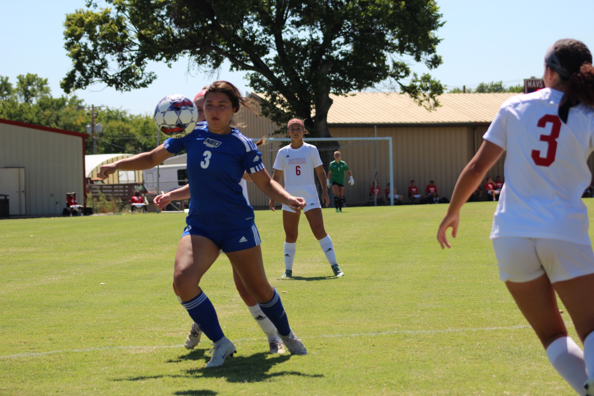 Maile Gindling - Women's Soccer - Northeastern Oklahoma A&M Athletics