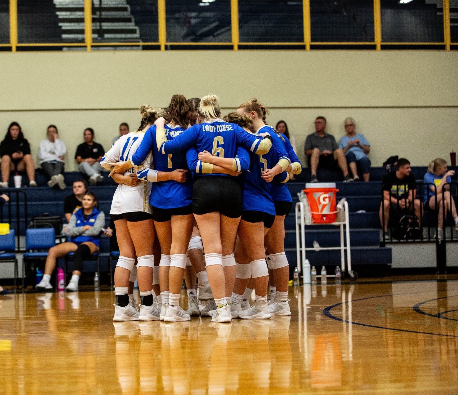 NEO releases Lady Norse 2024 volleyball schedule - Northeastern ...