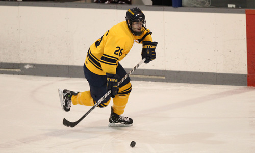 Cory Park - 2011-2012 - Men's Hockey - Neumann University Athletics