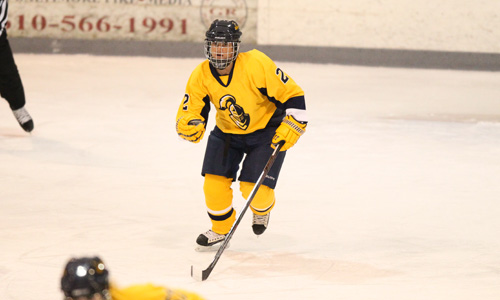 Gina Reuter - 2010-2011 - Women's Hockey - Neumann University Athletics