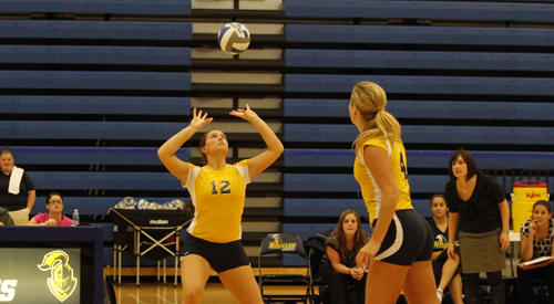 Gianna Jones - 2013 - Women's Volleyball - Neumann University Athletics