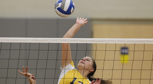 Gianna Jones - 2013 - Women's Volleyball - Neumann University Athletics