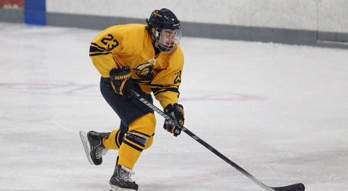 Jordan Zalba - 2012-2013 - Men's Hockey - Neumann University Athletics