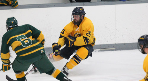 Cory Park - 2011-2012 - Men's Hockey - Neumann University Athletics