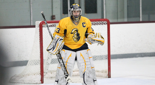 Shannon Donnelly - 2012-2013 - Women's Hockey - Neumann University ...