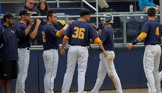 Matt Sheneman - 2015 - Baseball - Neumann University Athletics