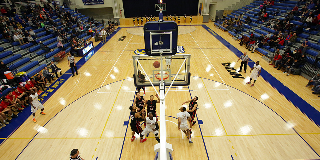 Darian Barnes - 2016-2017 - Men's Basketball - Neumann University Athletics