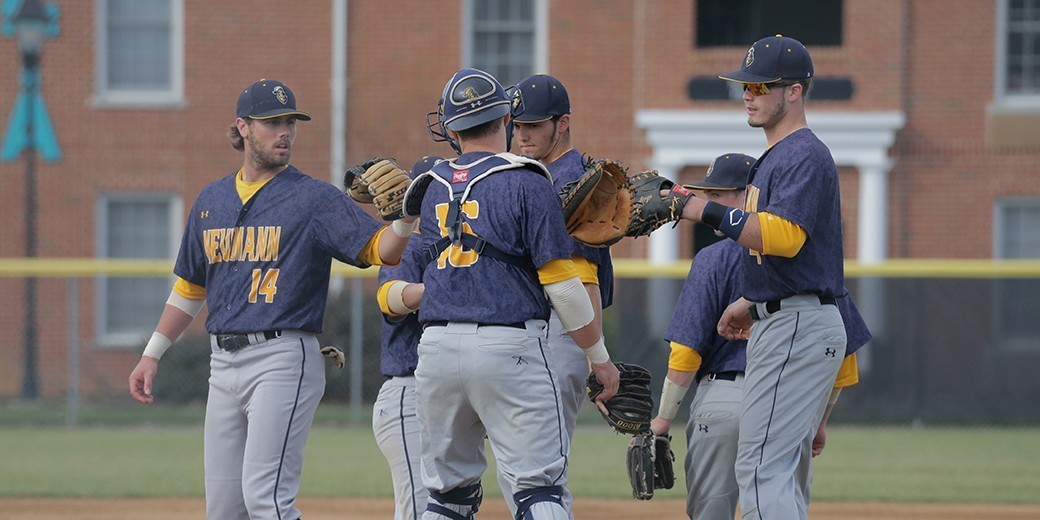 Mickey Stec - 2016 - Baseball - Neumann University Athletics