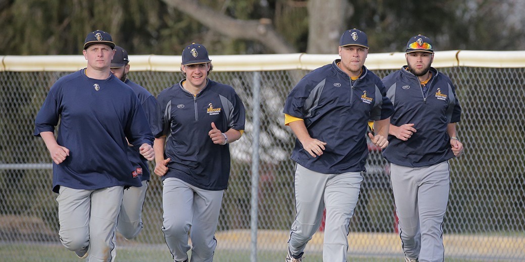 Pat O'Leary - 2016 - Baseball - Neumann University Athletics