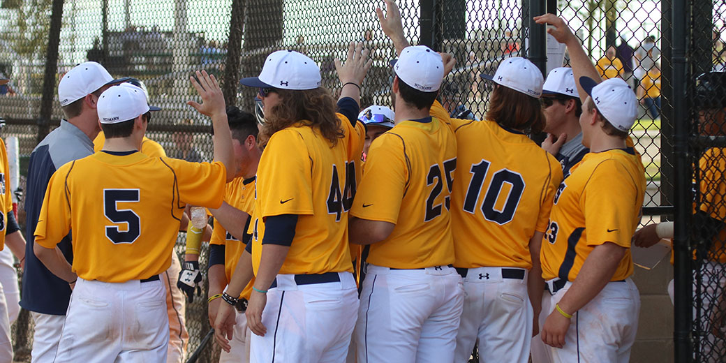 Joey Pedorenko - 2018 - Baseball - Neumann University Athletics