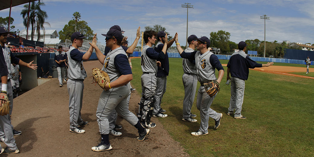 Joey Pedorenko - 2018 - Baseball - Neumann University Athletics