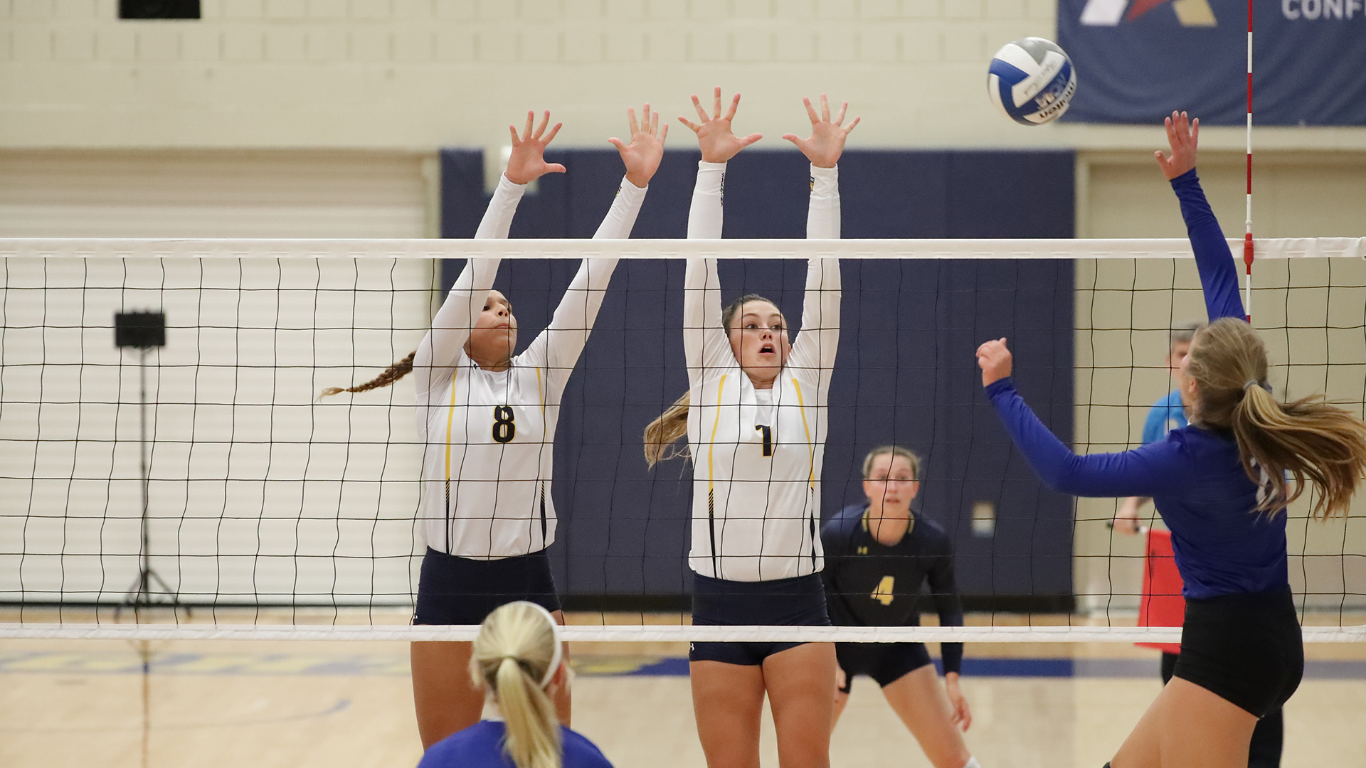 Melanie Malseed - 2019 - Women's Volleyball - Neumann University Athletics