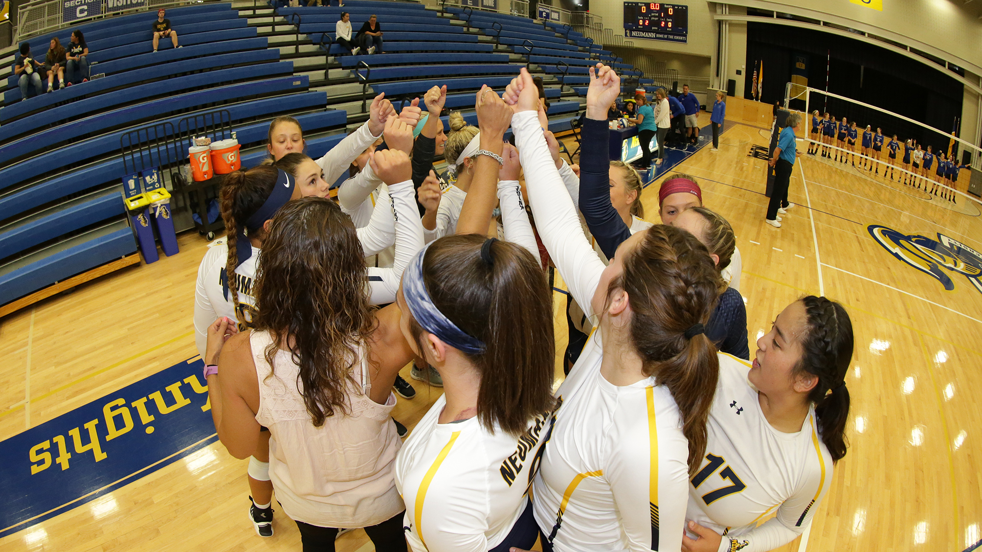 Melanie Malseed - 2019 - Women's Volleyball - Neumann University Athletics