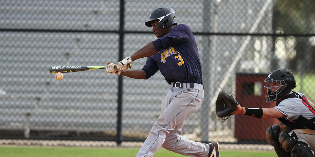 Tre Selby - 2020 - Baseball - Neumann University Athletics