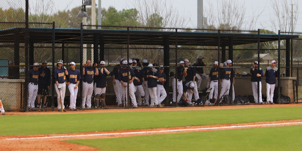 Joe Murray - 2020 - Baseball - Neumann University Athletics