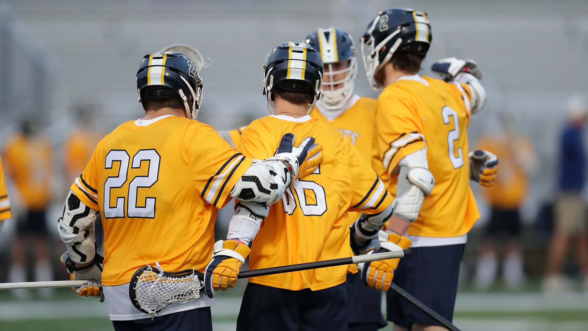 Ryan McNichol - 2020 - Men's Lacrosse - Neumann University Athletics