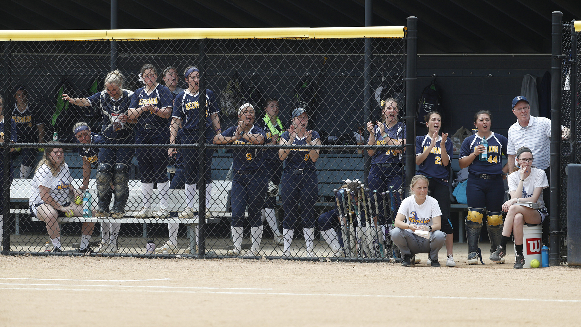 Abby Driscoll - 2019 - Softball - Neumann University Athletics